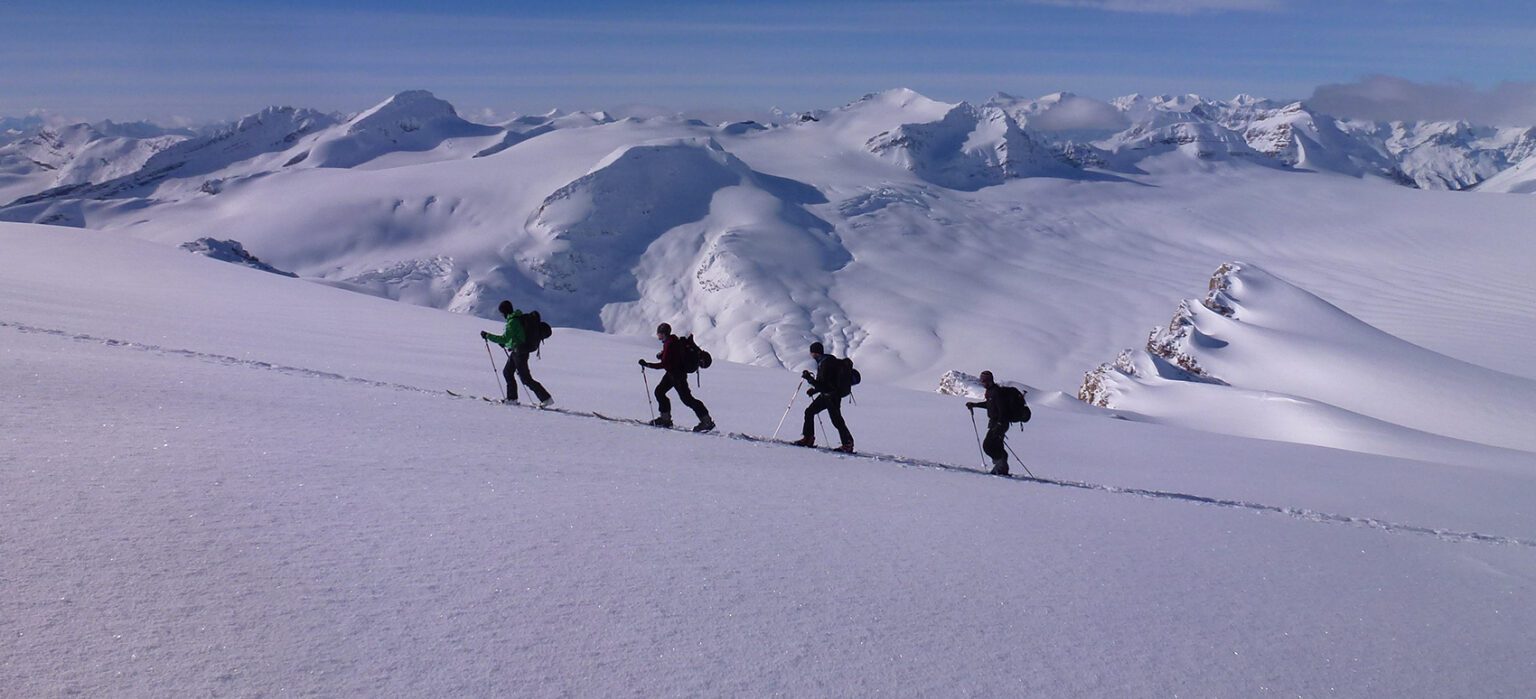 Wapta Icefield Traverse » Summit Mountain Guides